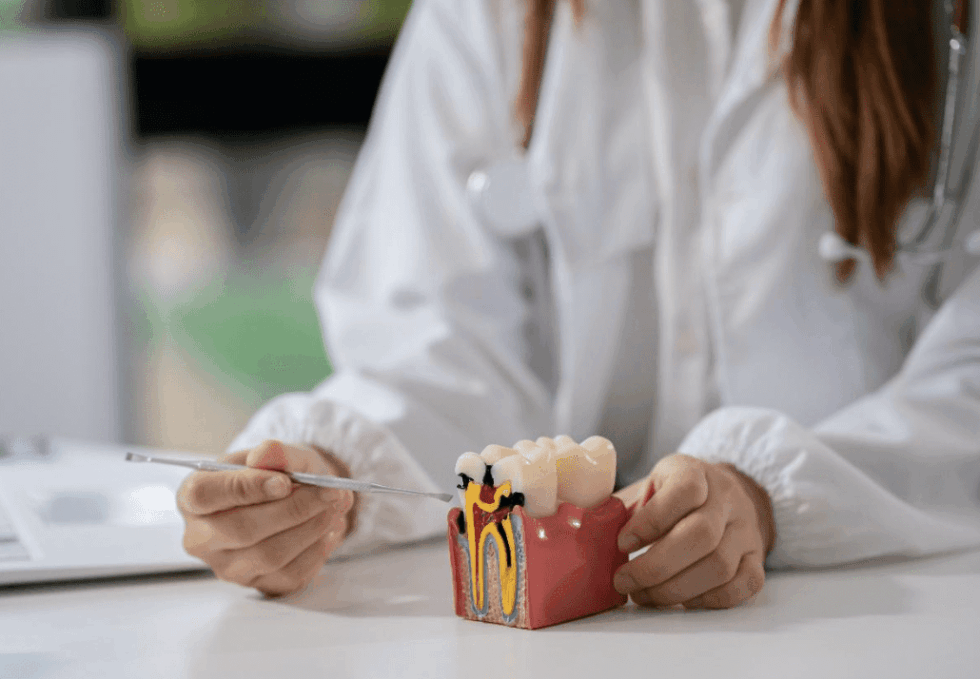 The Importance of Caries Risk Assessment and Management